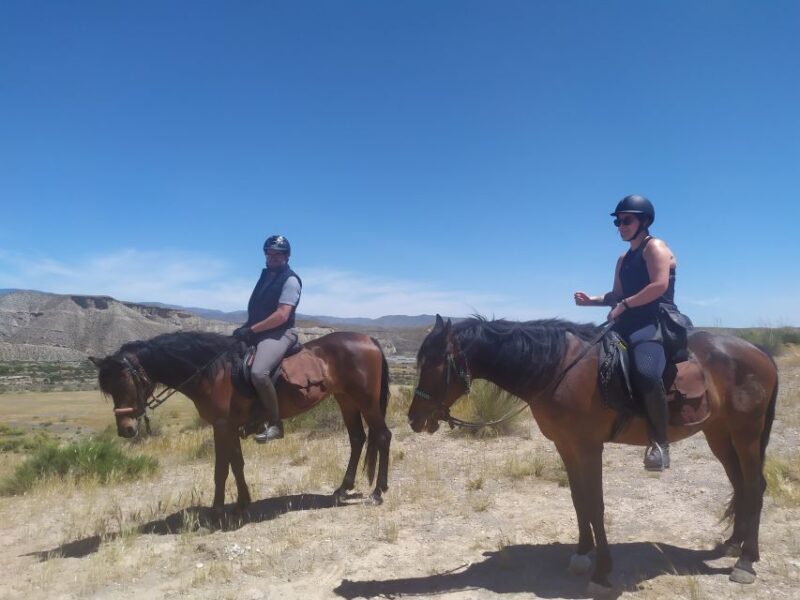 Almeria: Tabernas Desert Horse Riding for experienced riders - Practical Details and Tips for Riders