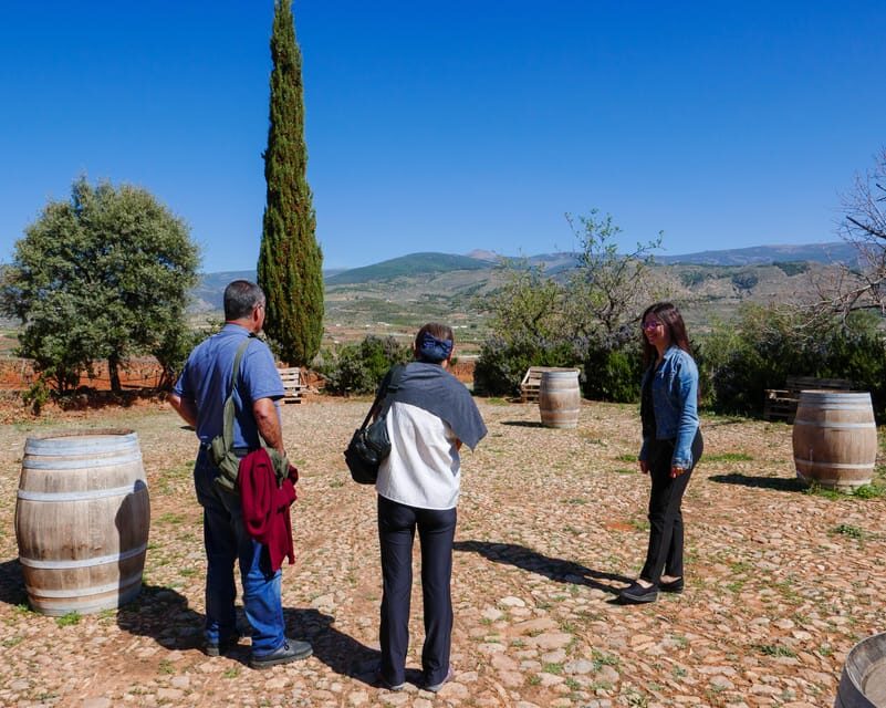 Almería: Wine tour and tasting in Organic Winery - A Realistic Look at the Experience
