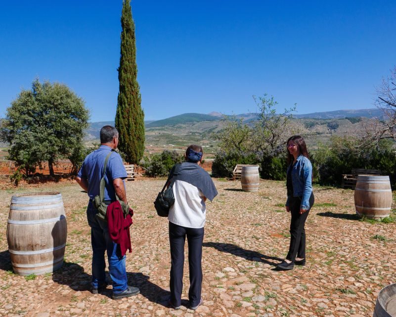 Almería: Wine tour and tasting in Organic Winery - The Value Proposition