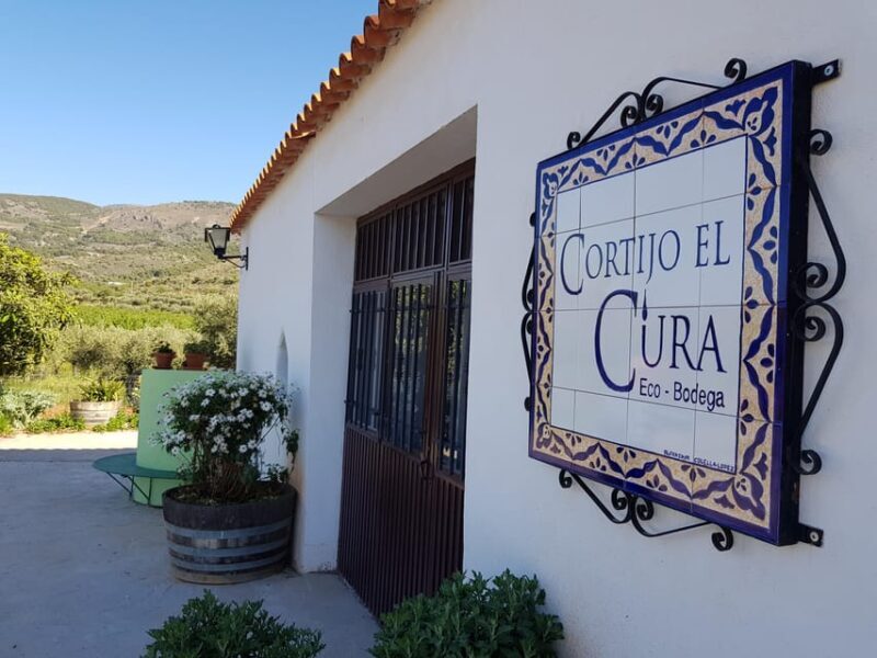 Almería: Wine tour and tasting in Organic Winery - Final Thoughts: Who Should Consider This Tour?