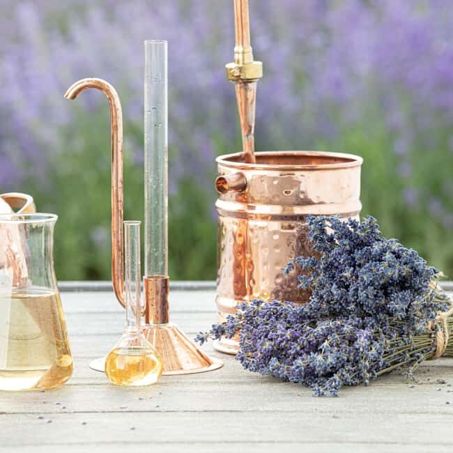 Almuñécar: Perfume Workshop: create your 50ml Eau de Parfum - Frequently Asked Questions