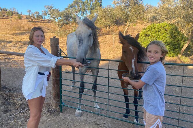 Alpaca Farm MamaAdama Meet & Feed - A Closer Look at the Alpaca Farm MamaAdama Meet & Feed Experience