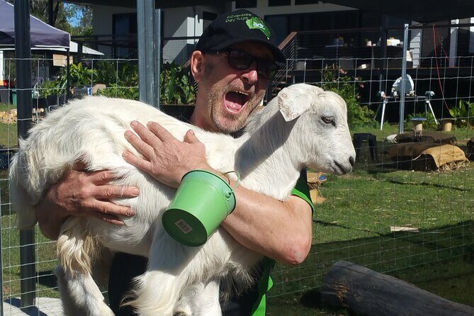 Alpaca Feeding with Wildlife and Nature Park Visit Private Tour - Who Should Consider This Tour?