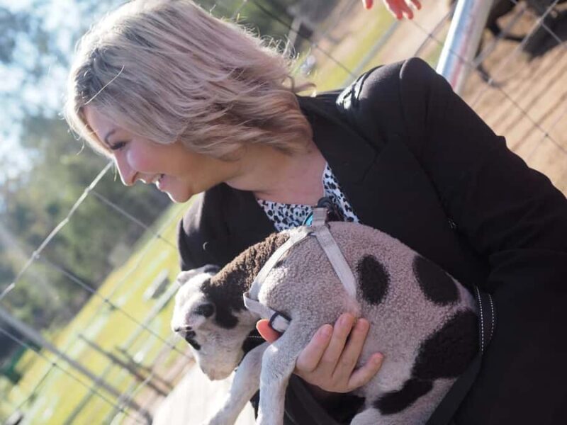 Alpaca Feeding with Wildlife Nature Park Visit Private Tour - Why This Tour Offers Real Value