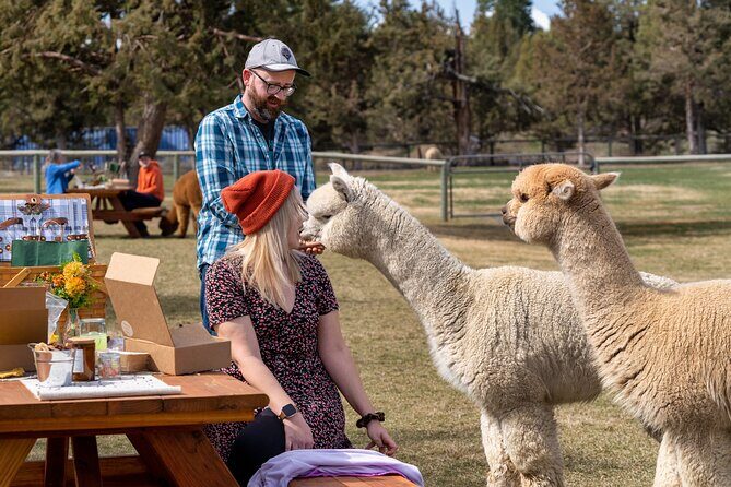 Alpaca Picnic Experience in Oregon - Who Should Book This Experience?