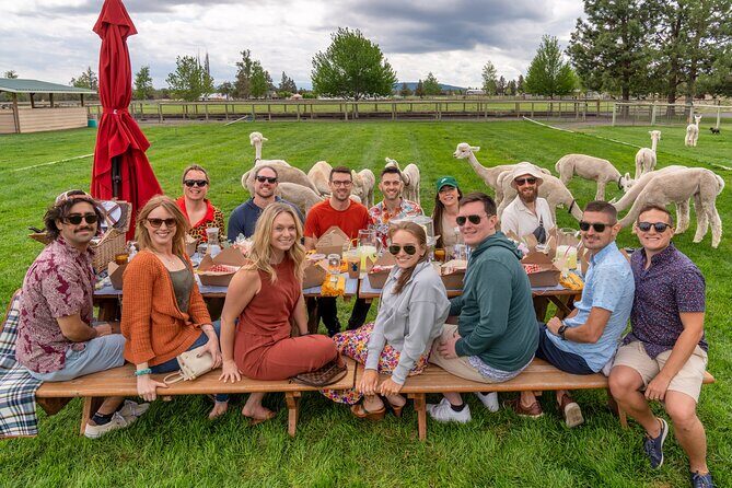 Alpaca Picnic Experience in Oregon - Final Thoughts