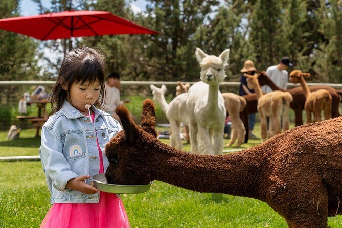 Alpaca Picnic Experience in Oregon - FAQ