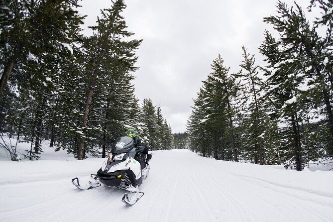 Alpine Self Guided Snowmobile Rentals - What to Expect on Your Wyoming Snowmobile Adventure
