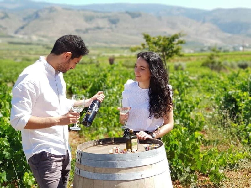 Alpujarra of Almería: Organic Wine tour and local aperitif - Key Points
