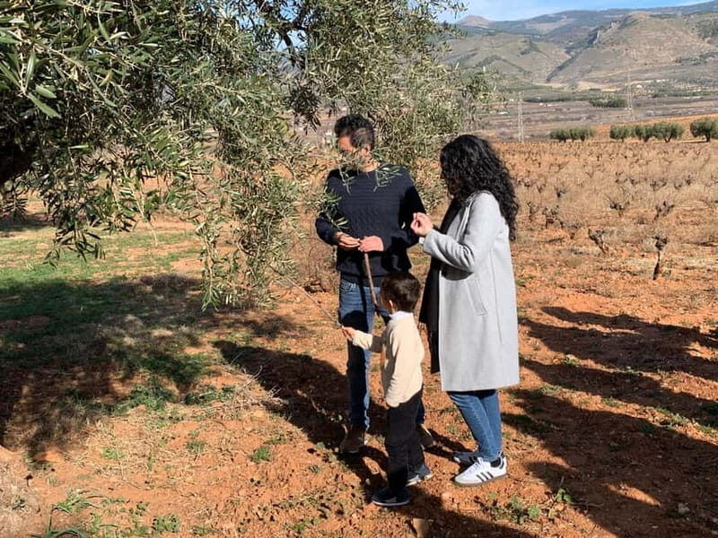Alpujarra of Almería: Organic Wine tour and vegan aperitif - Key Points