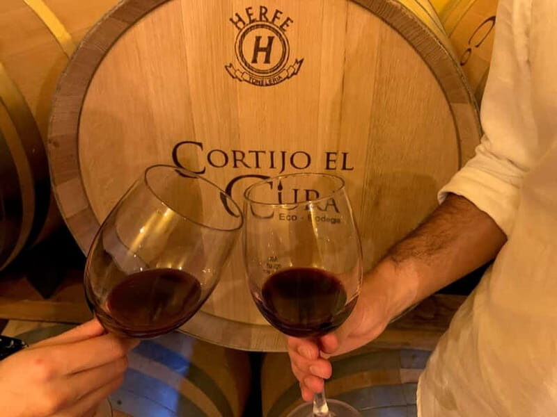 Alpujarra of Almería: Organic Wine tour and vegan aperitif - In The Sum Up