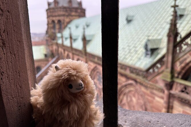 Alsace: Colmar, Villages & Castle Private Guided Full Day Tour - Key Points