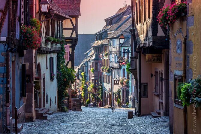 Alsace: Colmar, Villages & Castle Private Guided Full Day Tour - Who Will Love This Tour