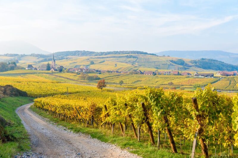 Alsace: Full-Day Wine Tour & Tastings from Strasbourg - The Experience, Based on Real Feedback