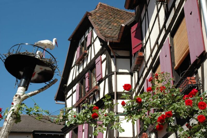 Alsace Half-Day Wine Tour from Strasbourg - Who Will Love This Tour?