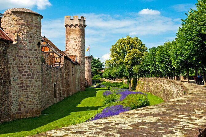 Alsace Local Villages Small Group Guided Tour from Strasbourg - Practical Tips for Travelers
