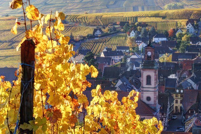 Alsace villages half day tour from Colmar - Practicalities & Tips