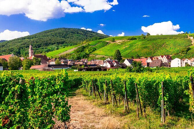 Alsace Wine Route Small Group Half-Day Tour with Tasting from Strasbourg - Practical Details You Need to Know