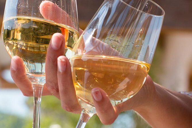 Alsace: Wine tasting/Single Straw Wine Tour - A Closer Look at the Alsace Wine Tasting Tour