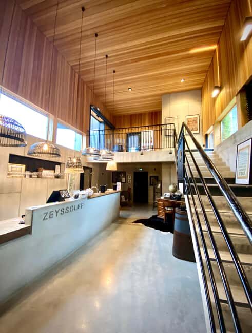 Alsatian brunch - wine tasting & Immersive wine cellar tour - A Closer Look at the Experience