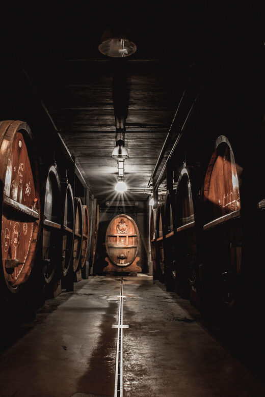 Alsatian Christmas lunch with Immersive wine cellar tour - A Deep Dive into the Experience