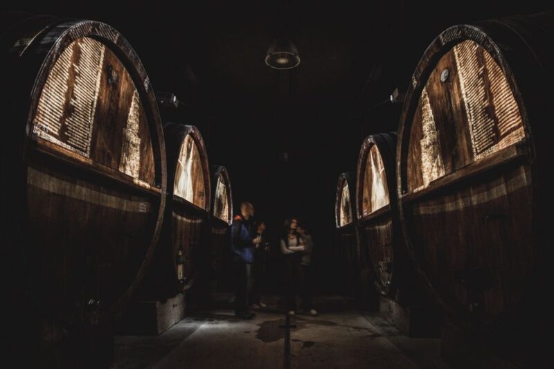 Alsatian Guided Wine Tasting and Immersive wine cellar tour - Introduction