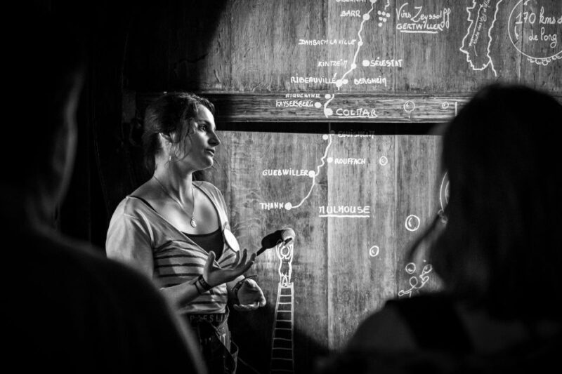 Alsatian Guided Wine Tasting and Immersive wine cellar tour - The Itinerary in Detail