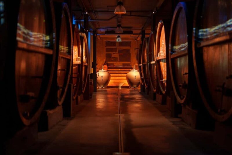 Alsatian Guided Wine Tasting and Immersive wine cellar tour - Who Should Consider This Tour?