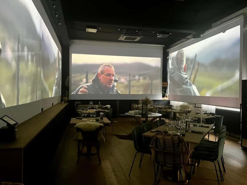 Alsatian Immersive Wine Tour, Wine Tasting & Alsatian lunch - Wine Tasting & Food Pairing