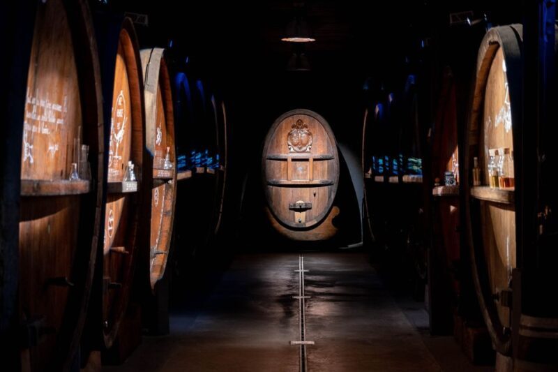 Alsatian Immersive Wine Tour, Wine Tasting & wine/tea time - Step Inside the Experience: What to Expect