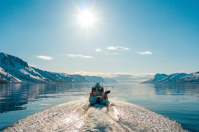 Alta: 2 Hours Guided Adventure Cruise in Alta Fjord - Who Will Love This Tour?