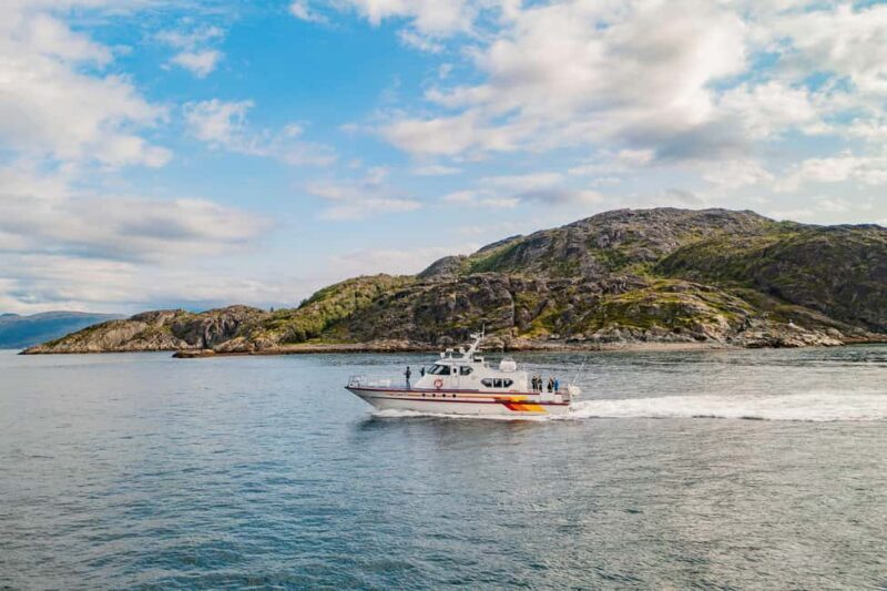 Alta: Altafjord 2-Hour Fjord Safari with Guide - Key Points