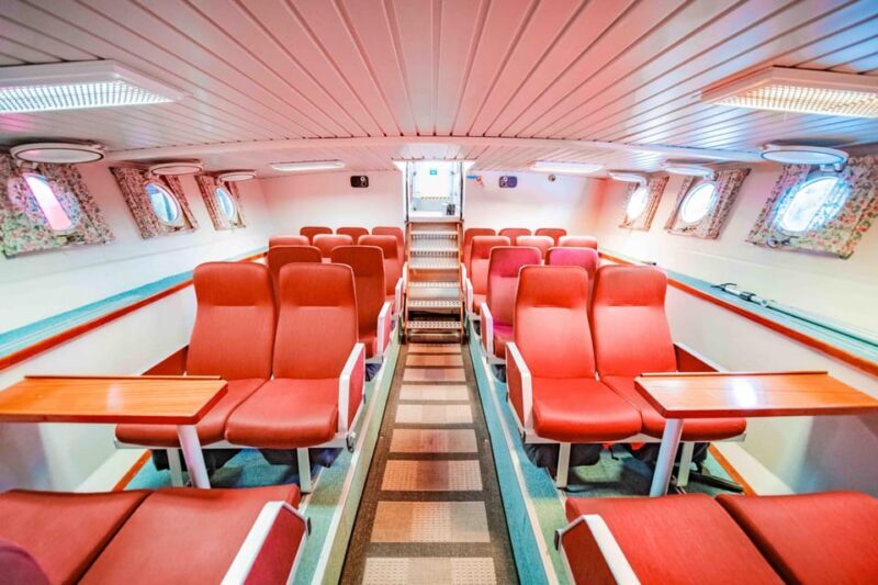 Alta: Altafjord Whale Watching in a Heated Boat - Value for Money