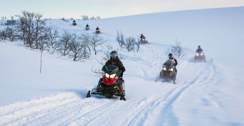 Alta: Guided Snowmobile Safari on Finnmarksvidda With Snacks - Authentic Arctic Encounters