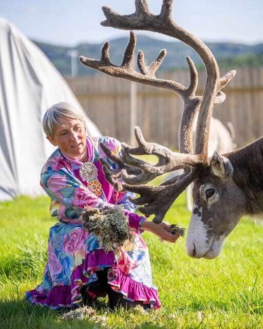 Alta: Reindeer - A carrier of Sámi Culture - Engaging Meta Description:  