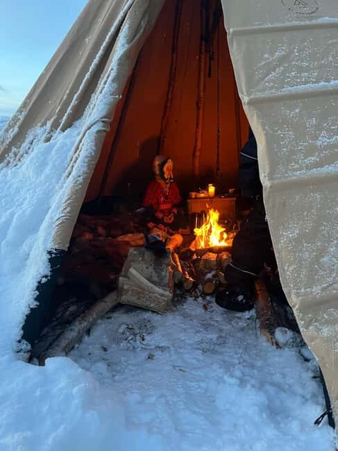 Alta: Reindeer Ride - Authenticity and Guides: What Sets This Tour Apart