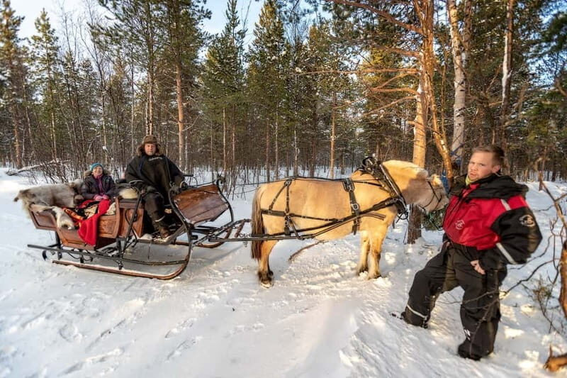 Alta: Sleigh Ride in the Arctic Countryside - Who Is This Tour Best For?