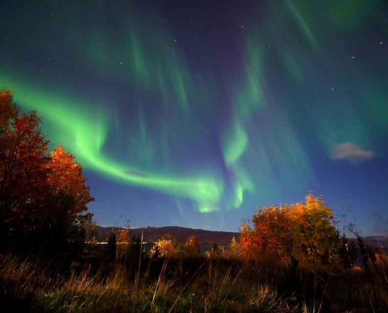 Alta: Small-Group Guided Northern Lights Tour - The Guides: Your Key to the Aurora