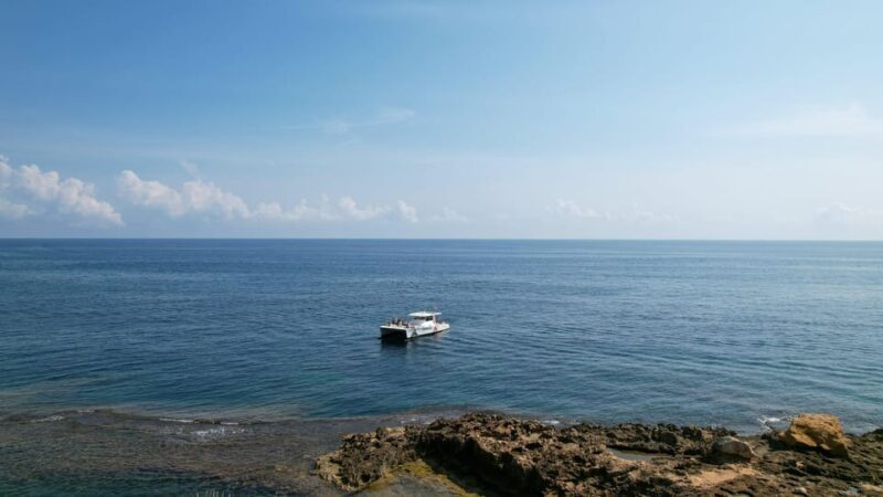 Altea: Motor catamaran with optional lunch and swimming stop - What You Can Expect from the Tour