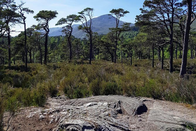 Alternative Loch Ness Tour by Secret Highlands - Quaint Village Charm and Historic Ruins in Beauly