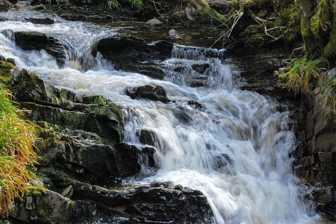 Alternative Loch Ness Tour by Secret Highlands - Authenticity and Unique Experiences