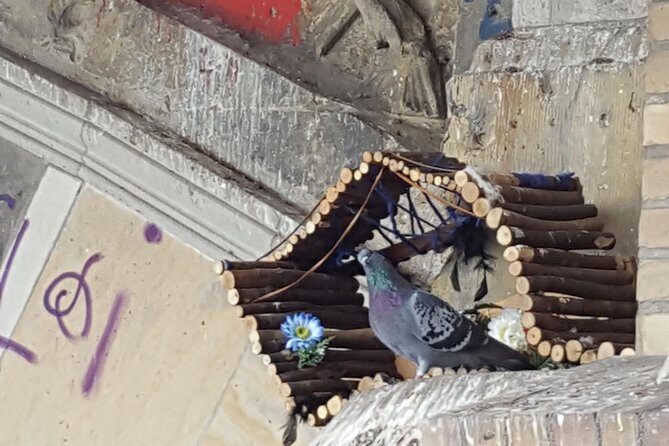 Alternative tour, History off the beaten path - Who Is This Tour Best For?