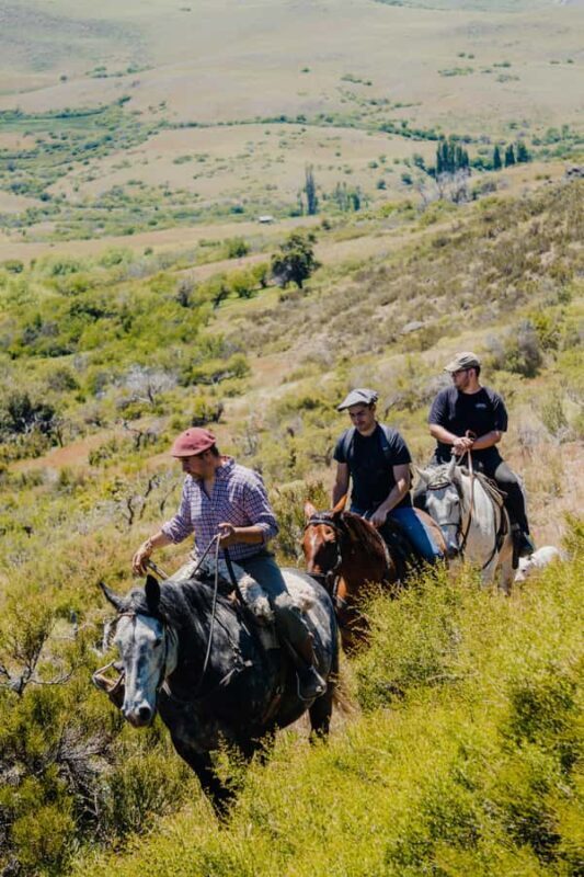 Aluminé: 4-Day Patagonian Horseback Riding Tour with Lodging - The Experience: What to Expect Over Four Days