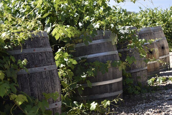 Amador County Wine Tasting Tours max 14 pax Private Wine Tours - Final Thoughts