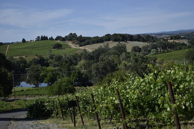 Amador County Wine Tasting Tours max 14 pax Private Wine Tours - FAQ