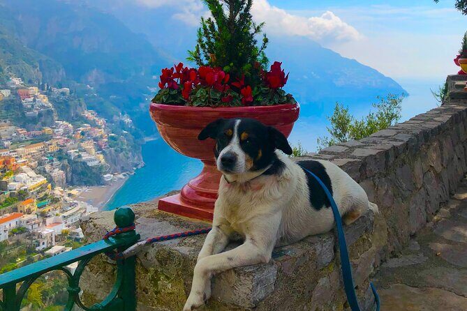 Amalfi Coast from Naples: Relaxing tour between Sorrento and Amalfi! - Who Is This Tour Best For?