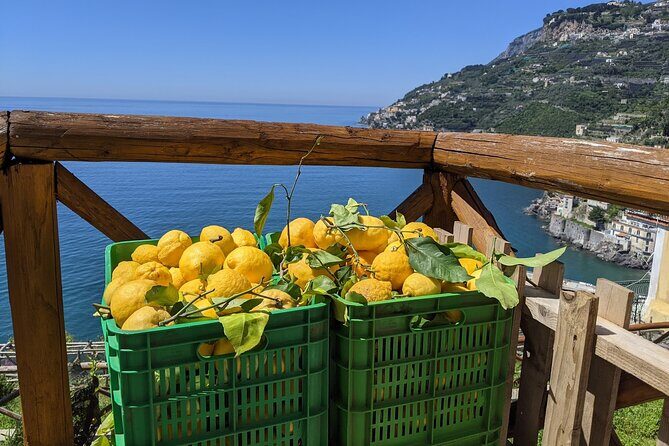 Amalfi Coast - Maiori: Path of Lemons Tour with Tasting - The Authentic Touch: Guides Who Make the Difference
