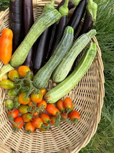 Amalfi Coast: Mozzarella, Pasta and Tiramisù Cooking Class - Final Thoughts