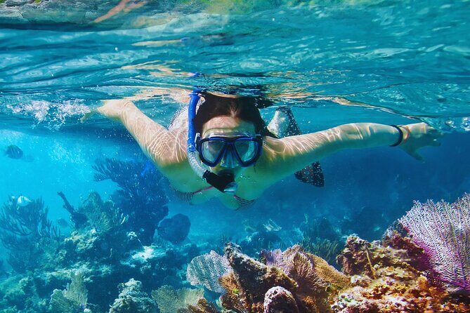 Amalfi Coast Snorkeling and Limoncello Tasting: 4h Boat Tour - In-Depth Tour Breakdown