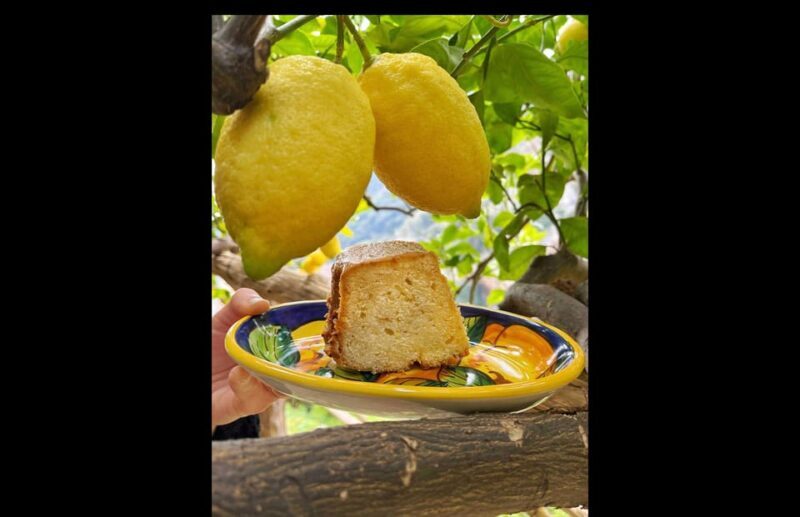 Amalfi Organic Lemon Tour & Tasting in the Historical Garden - Final Thoughts